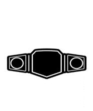 Premium Custom Designer Belts by Customize Wrestling Belt