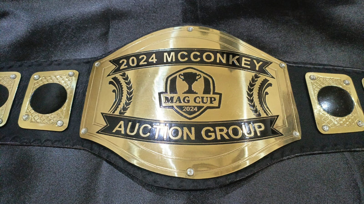 USA Custom Trophy Cup Logo Wrestling Belt for Champions
