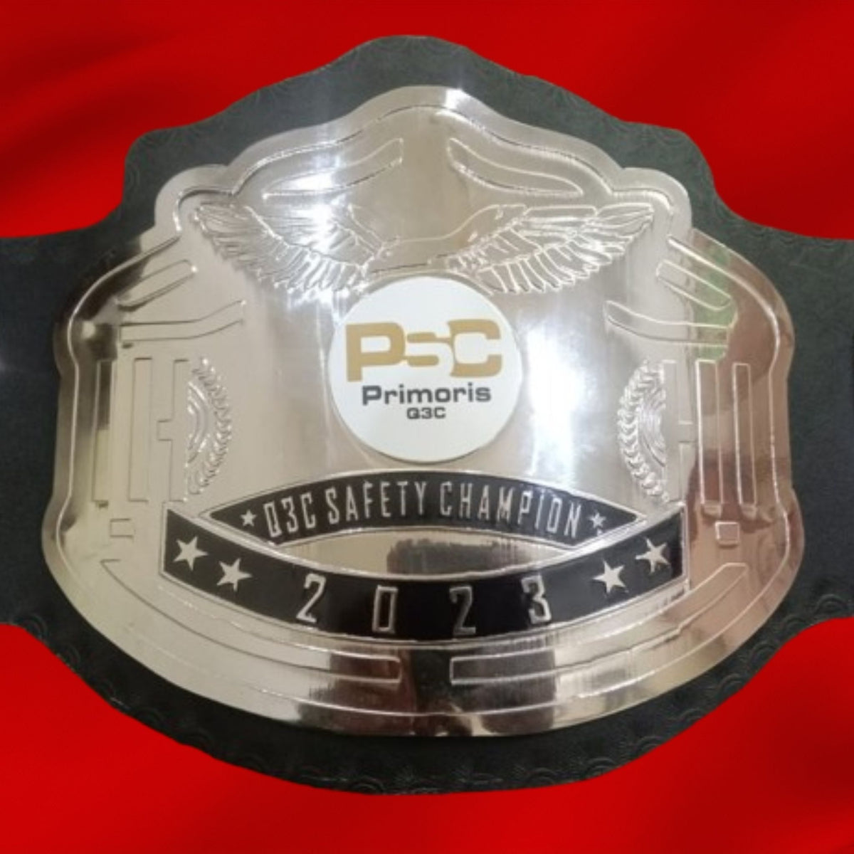 Custom Name and Primoris Q3C Logo Wrestling Championship Belt